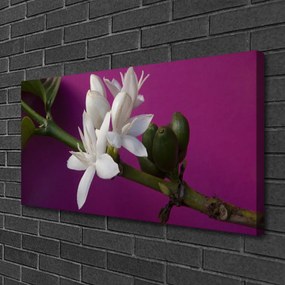 Obraz na plátně Květiny Úhonky Příroda 100x50 cm