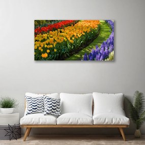 Obraz na plátně Květiny Zahrada Tulipány 140x70 cm