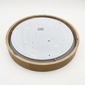 BRILAGI - LED Stm stropní svítidlo MANAROLA SMART LED/24W/230V pr. 41 cm + DO