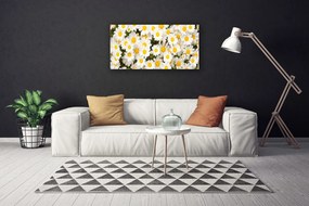 Obraz na plátně Sedmikrásky Květiny 125x50 cm