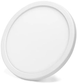 Aigostar - LED RGBW Stmívatelné stropní svítidlo LED/22W/230V 2700-6500K Wi-Fi