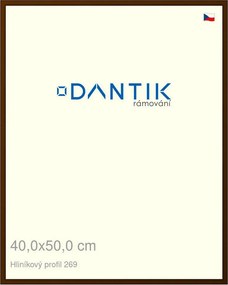 DANTIK rámeček 40x50 | ALU profil 7269 Hnědá umbra broušená (Sklo Čiré)