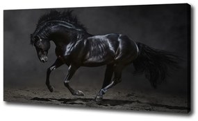 Wallmuralia Foto obraz na plátně do obýváku Černý kůň 100x50