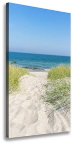 Wallmuralia Vertikální Foto obraz na plátně Mořské duny 50x100