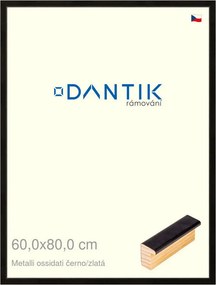 DANTIK rámeček 60x80 | Metalli oidati černozlatá (Plexi Čiré)