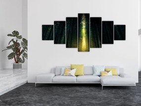 Obraz temného lesa (210x100 cm)