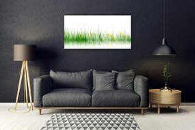 Obraz na skle Příroda Tráva Květiny 125x50 cm