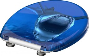 Eisl Sanitär WC prkénko Duroplast Soft Close Blue Shark 82371