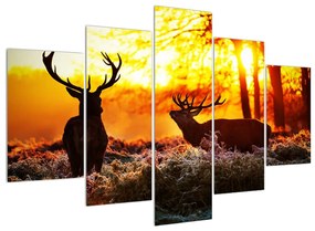 Obraz jelenů (150x105 cm)