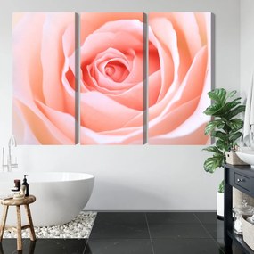 Vícedílný obraz Pastelová Růže Na 3D Makro Měřítku Nedostatek Nedostatek Přírodní plátno 180x120