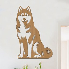 dřevo života Dřevěný obraz psa Husky Zvolte rozměr (cm): 42x60, Zvolte barvu dekoru: Buk