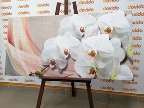 Obraz bílá orchidej na plátně - 120x60 cm