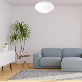 Toolight - LED stropní svítidlo 38cm kulaté 1x24W APP757-1C, bílá, OSW-06513