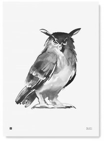 Teemu Järvi Plakát s motivem sovy Eagle Owl 50x70