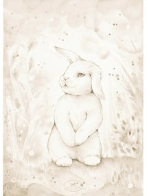Plakát králík 50x70cm