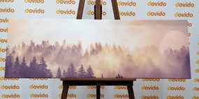 Obraz mlha nad lesem - 150x50 cm