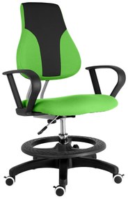 Dětská rostoucí židle ERGODO KIDS Barva: zeleno-šedá