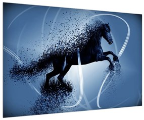 Moderní obraz koně (90x60 cm)