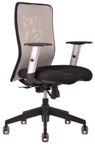 Office Pro Kancelářská židle CALYPSO Barva sedáku: 1111 černá, Barva opěráku: 12A11 šedá