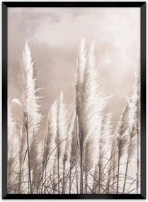 Obraz Grass