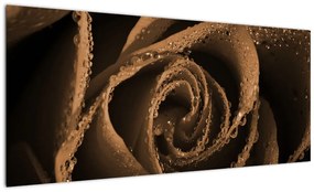 Detail růže - obraz (100x40cm)