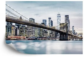 Fototapeta Chladicí Filtr Brooklyn Bridge Nyc Hladký vinyl 368x254