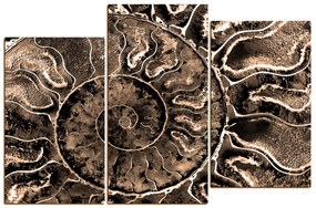 Obraz na plátně - Textura fosílie 1174FD (105x70 cm)