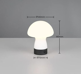 Matně bílá LED stolní lampa se skleněným stínidlem (výška 18 cm) Dooley – Reality