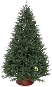 Umělý vánoční stromeček výška 150 cm Canadian Spruce 3D – Můj Stromeček
