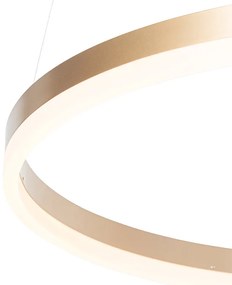 Designové závěsné svítidlo zlaté 60 cm vč. LED 3-stupňové stmívání - Anello