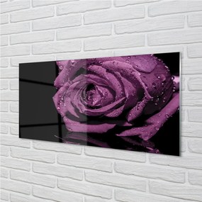 Obraz na skle Purpurová růže 140x70 cm