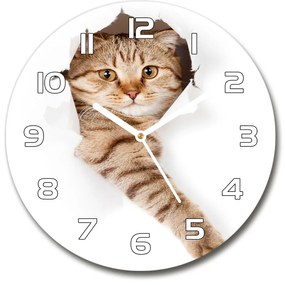 Wallmuralia Skleněné nástěnné hodiny kulaté Kočka fi 30 cm