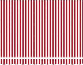 Rám markýzy Červená a Bílá 300 x 250 cm 3329995