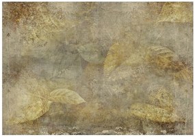 Fototapeta - Kamenná příroda 250x175 + zdarma lepidlo