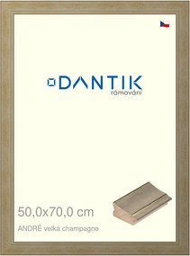 DANTIK rámeček 50x70 | ANDRÉ velká champagne (Plexi Čiré)
