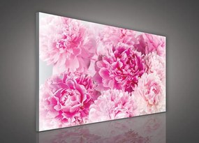 Postershop Obraz na plátně: Růžové růže (2) - 75x100 cm
