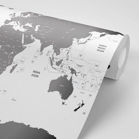 Tapeta mapa světa s jednotlivými státy v šedé barvě
