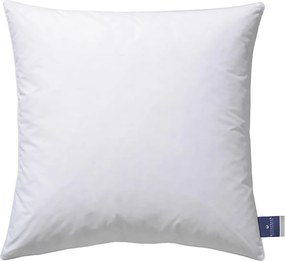 XXXLutz POLŠTÁŘ POD HLAVU, 80/80 cm Billerbeck - Polštáře pod hlavu - 003279023401