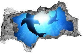 Wallmuralia Díra 3D fototapeta nálepka Dva žraloci 95x73 cm