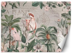 Gario Fototapeta Čtyři papoušci a tropické rostliny - Andrea Haase Materiál: Vliesová, Rozměry: 200 x 140 cm
