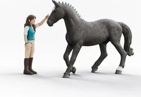 Schleich Lisa a Storm / od 5 let