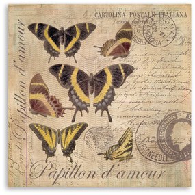 Gario Obraz na plátně Motýli na béžovém pozadí - Andrea Haase Rozměry: 30 x 30 cm