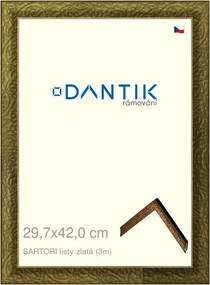 DANTIK rámeček 29,7x42 | SARTORI listy zlatá (Plexi Čiré)