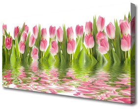 Obraz na plátně Tulipány Rostlina Příroda 100x50 cm