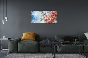 Obrazy na plátně Magnólie nebe slunce 100x50 cm