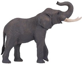 Mojo Slon africký