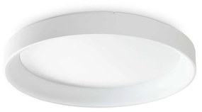 Ideal Lux Stropní LED svítidlo ZIGGY ⌀80cm Barva: Bílá