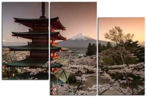 Obraz na plátně - Pohled na horu Fuji 161C (120x80 cm)