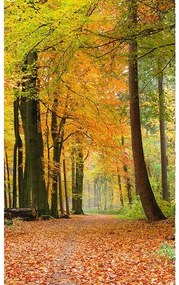 Vliesová fototapeta Podzimní les 150 x 250 cm + lepidlo zdarma / MS-2-0099 vliesové fototapety na zeď DIMEX