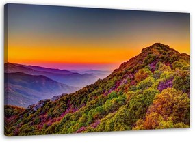 Obraz na plátně Hory Krajina Barevné - 60x40 cm
